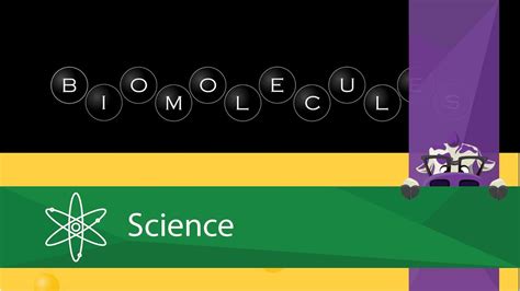 Biomolecules The Lipids Youtube