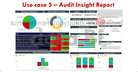 Audit Insight Report Data Bi