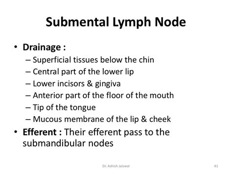 Lymphatic System And Cervical Lymph Nodes By Dr Ashish Jaiswal