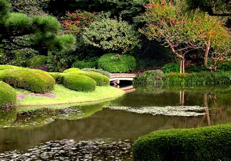The 6 Most Beautiful Gardens In Tokyo