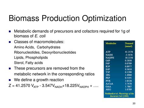 Ppt Constraint Based Modeling Of Metabolic Networks Powerpoint