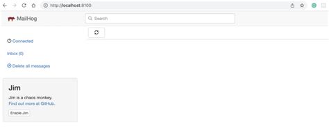 setup docker container for mailhog to use with laravel app by ibrar