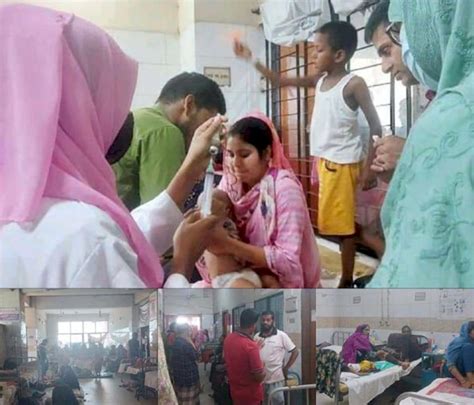দৈনিক বিজয় নিউজ ২৪ ঘণ্টার দৈনিক পত্রিকা