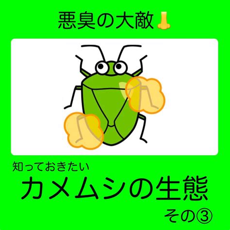 アドア 株式会社 大阪 【ベトナムテト祭りin難波宮】 明日明後日の1月4日・5日に難波宮で 開催されるベトナムフェスに少し
