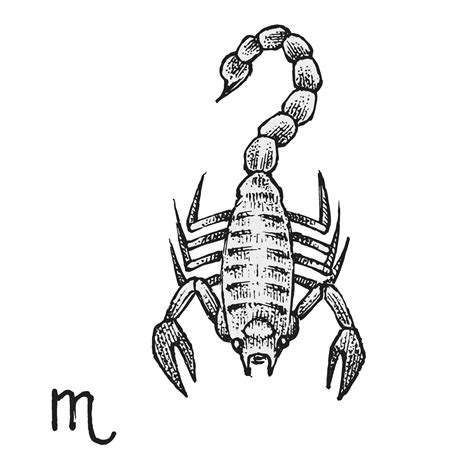 Scorpio