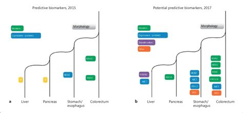 Predictive Molecular Biomarkers In Cancers Of The Digestive System