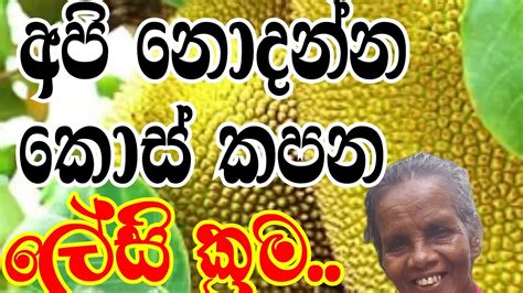 කොස් කපන ලේසි ක්‍රම Youtube