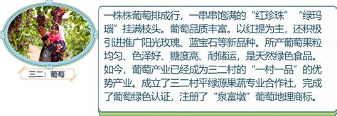 临泽县人民政府 平川镇