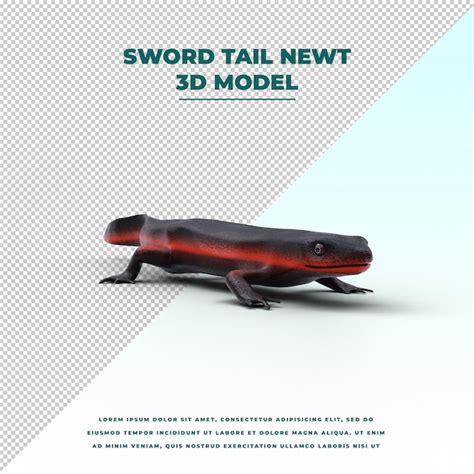 Premium Psd Sword Tail Newt