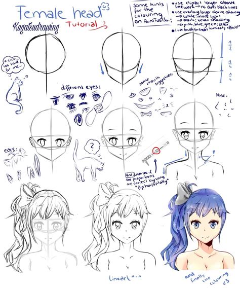 Step By Step Drawing Of Anime