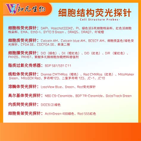 Dapi（活细胞和固定细胞染色液） 知乎