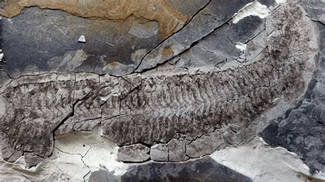 The Earth 300000 Years Ago