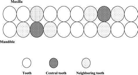 figure 2 from a model for analyzing spatially correlated binary data