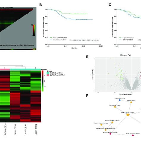 Survival Analyses And Results Of Gene Microarray And Signaling Download Scientific Diagram