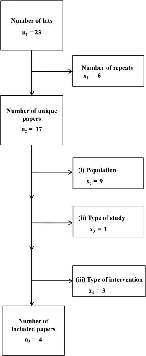 Flow Diagram Showing The Screening Process For The Ipr Systematic