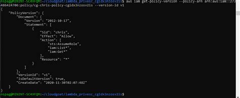 Cloudgoat Exploitation Series Privilege Escalation Via Lambda And Iam