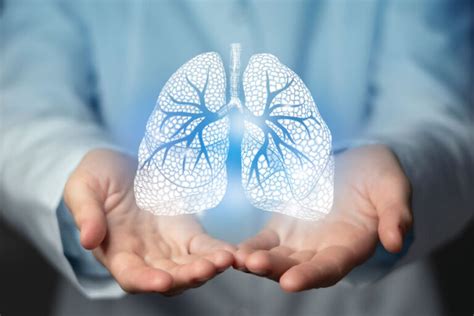 Respiratory Pathogen Panel Rpp North West Labs