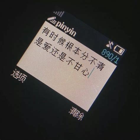 Beautiful Chinese Love Quotes