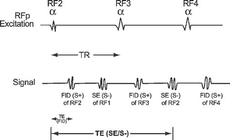 Signals Produced In Steady State Once The Steady Equilibrium Of Lm And