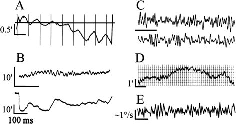 Examples Of Records Of Fixational Eye Movements In Humans As A Function