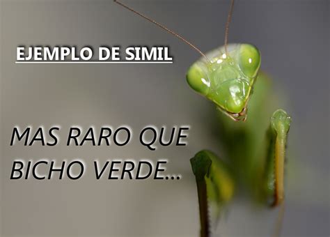 Ejemplos Para Aprender Ejemplos De Simil