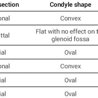 Relationships Among The Condyle Morphology And Occlusion Based On Age Download Scientific