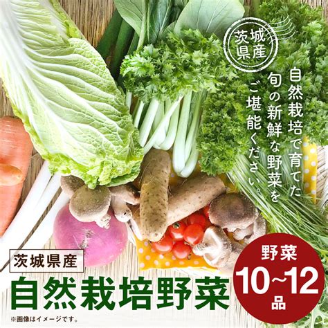 【楽天市場】【ふるさと納税】 自然栽培 野菜 10～12品目 野菜 季節の野菜 旬 自然栽培栽培期間 農薬不使用 詰め合わせ セット