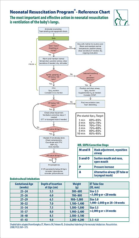 Nrp Flow Diagram Printable Flow Chart Nrp Diagram Neonatal N