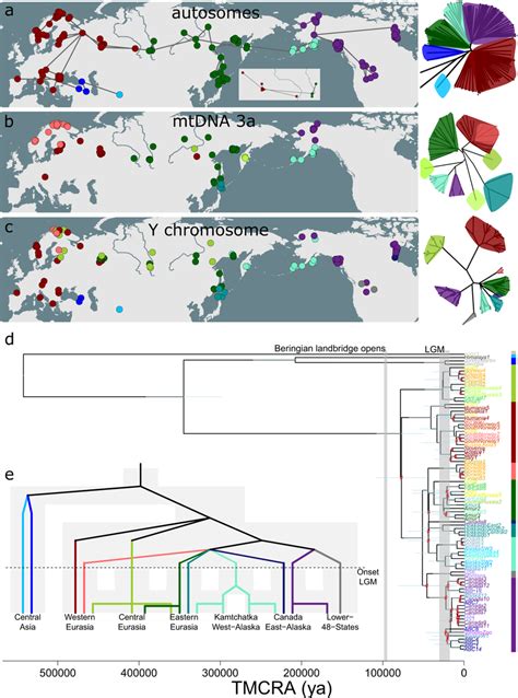 Spatial Distribution Of Genetic Clusters Depicting The Download
