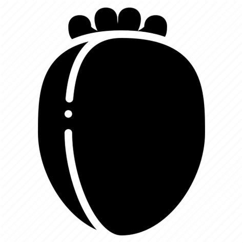 Food Fruit Guava Healthy Organic Icon Download On Iconfinder