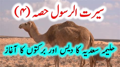 Seerat Un Nabi Part 4 Halima Sadia Ka Dais Aur Barkton Ka Aaghaz