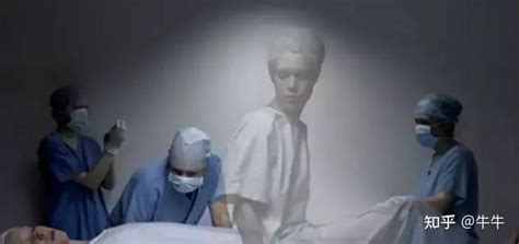科学家认为人不会真正死去而是会在另一个世界继续生存 知乎