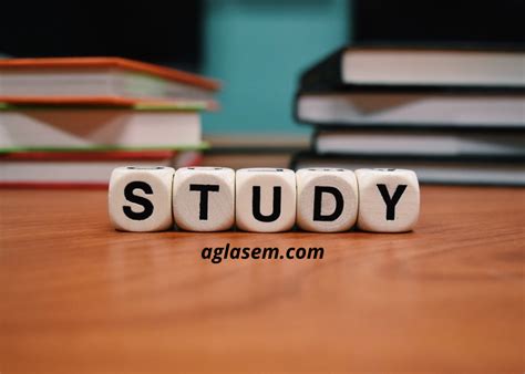 Silverzone Iio Olympiad Sample Papers 2024 Pdf International Informatics Olympiad Sample