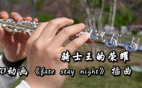 亚瑟王 长笛骑士王的荣耀 Fatestay night A OST 枫林演奏 枫林长笛 枫林长笛 哔哩哔哩视频