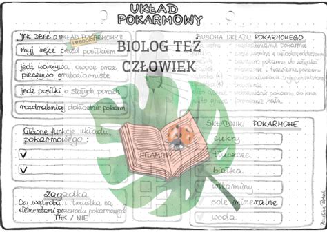 PRZYRODA Ciało człowieka Układ pokarmowy szarość Złoty nauczyciel