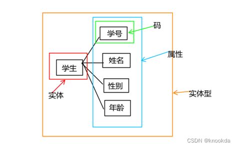 常见 数据模型