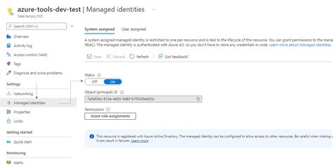 Enabling Managed Identity Authentication On Azure Functions In Data