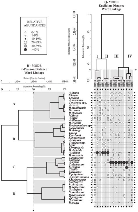 Q And R Mode Cluster Analyses Based On Relative Abundance Of Benthic Download Scientific