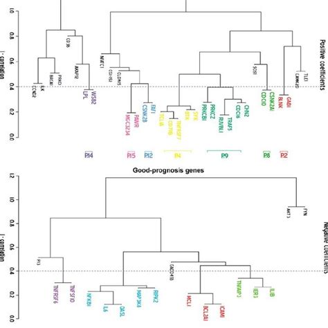 Prognosis Gene Clusters Clustering Of The 50 Genes Found To Be