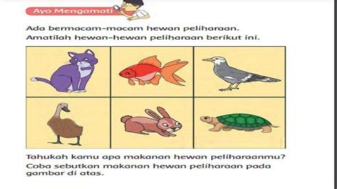 Soal Dan Kunci Jawaban SD Materi Kelas Tema Halaman Tribunjambi