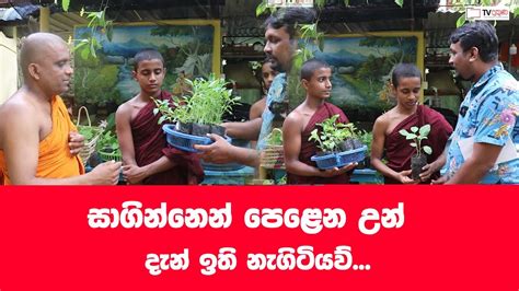 ගෙවත්තෙන් පටන් ගනිමු Youtube