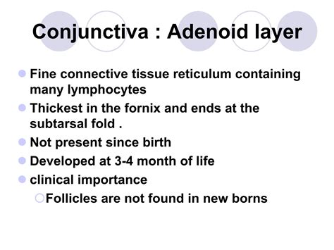 Anatomy Of Conjunctiva Bulbar Palpebral And Forniceal Ppt