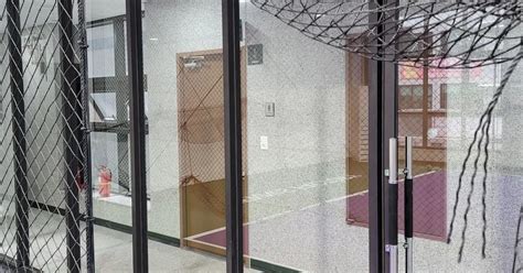 김포 실내 테니스장 유리창청소 리뉴클린 숨고 숨은고수