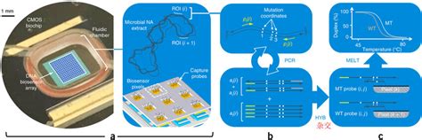 Nucleic Acid Amplification Test Platform A Schematic Diagram Of The Download Scientific
