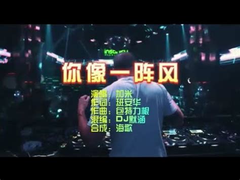 加米 你像一阵风DJ默涵版 KTV 导唱字幕 备有伴奏视频 YouTube