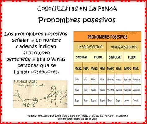 Cuales Son Los Adjetivos Posesivos