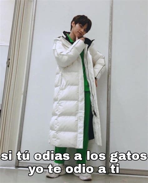Pin de ANNA MARTINEZ en Memes Uwu Fotos chistosas para whatsapp Frases frikis Imágenes graciosas