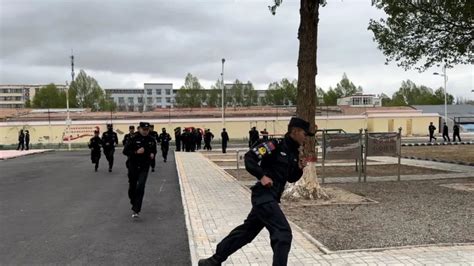 强体能，砺斗志！兴海县公安局组织民辅警体能测试澎湃号·政务澎湃新闻 The Paper