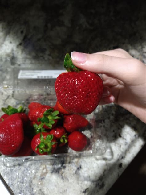 Found A Cubeberry Irl R Slimerancher