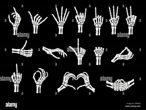 Skeleton Hand Gestures Vector Halloween Human Skull Finger Bones